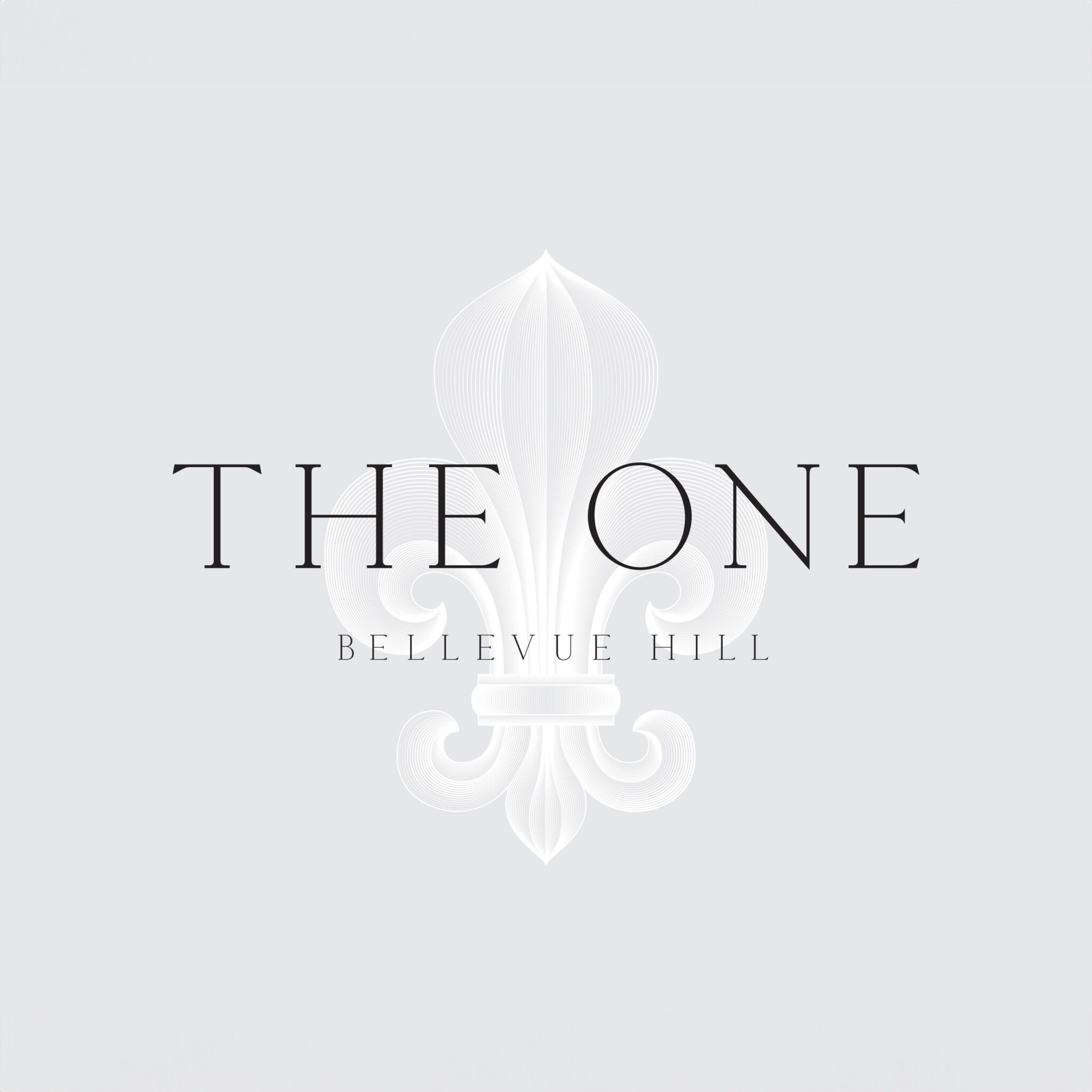 The One | Studio White Noise